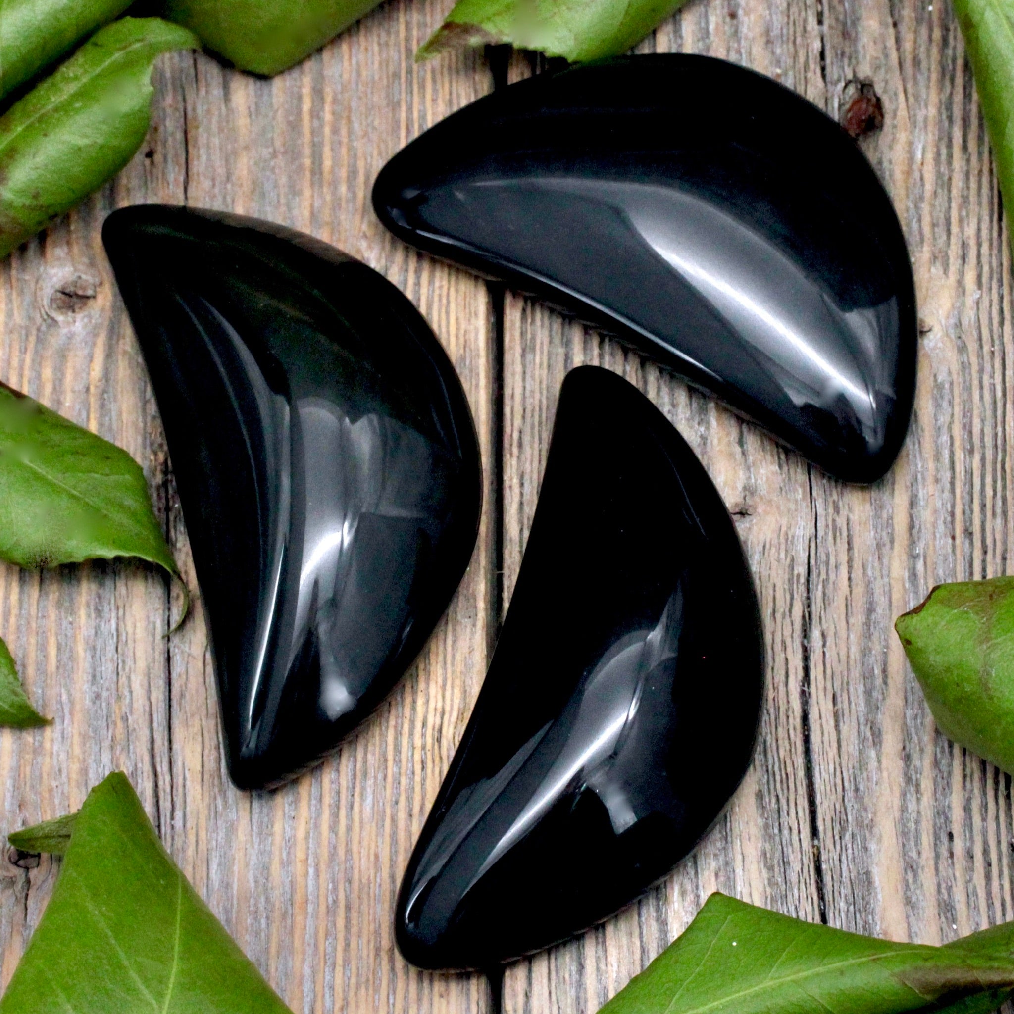 Obsidian Moon – RockMama.com