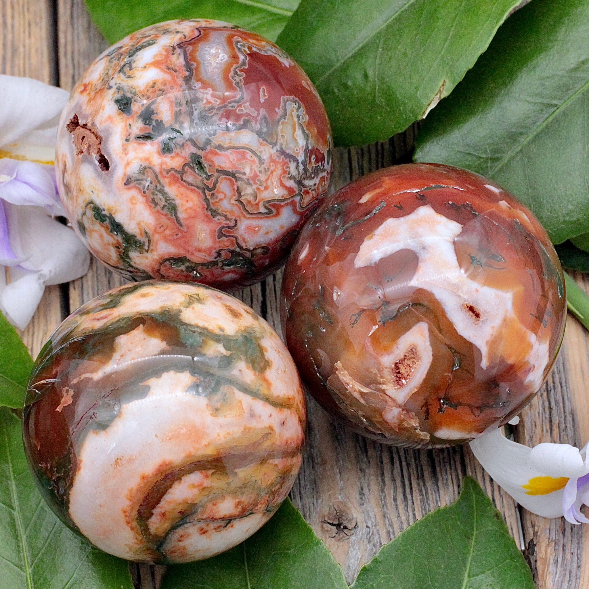 Red Moss Agate Sphere – RockMama.com