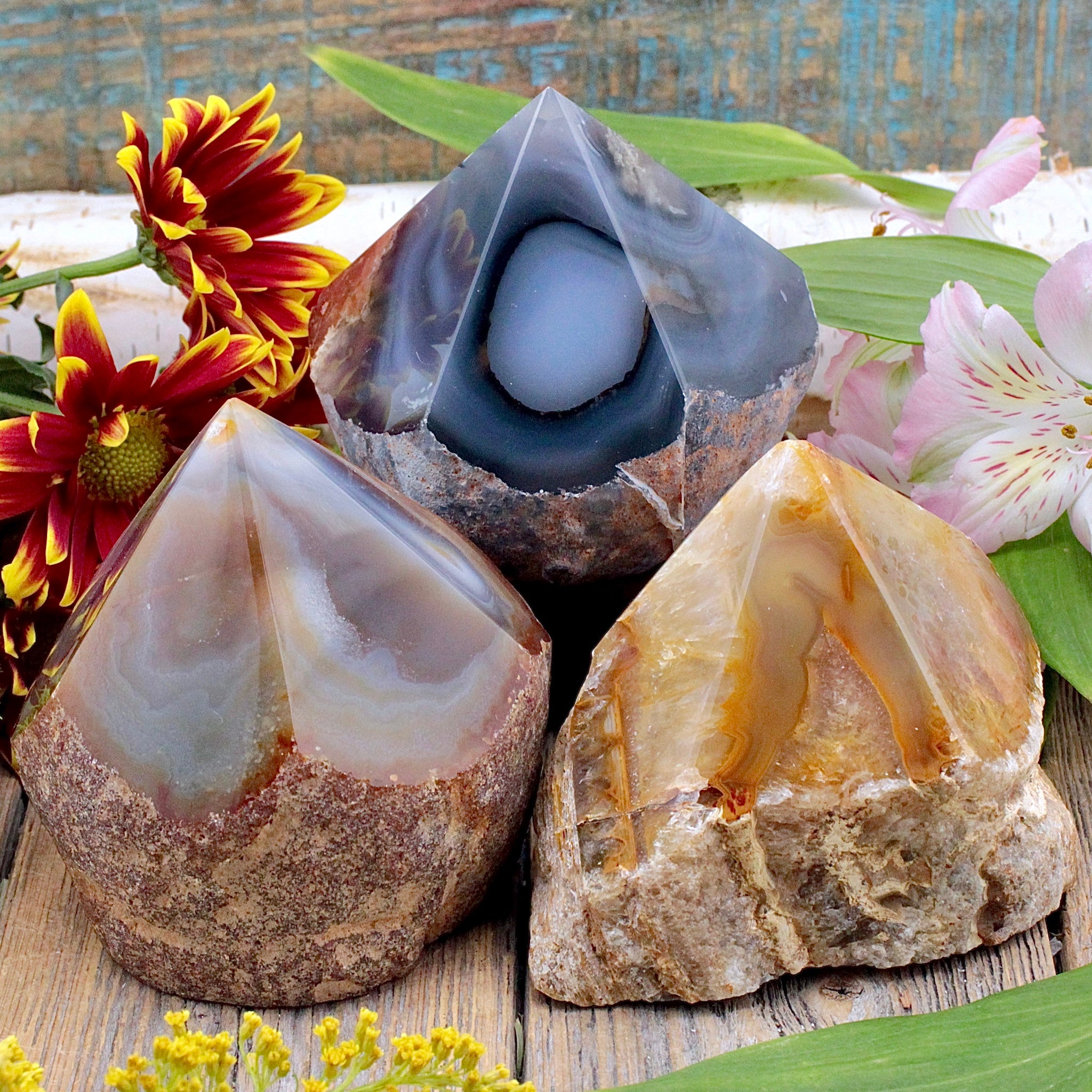 Agate Power Point – RockMama.com