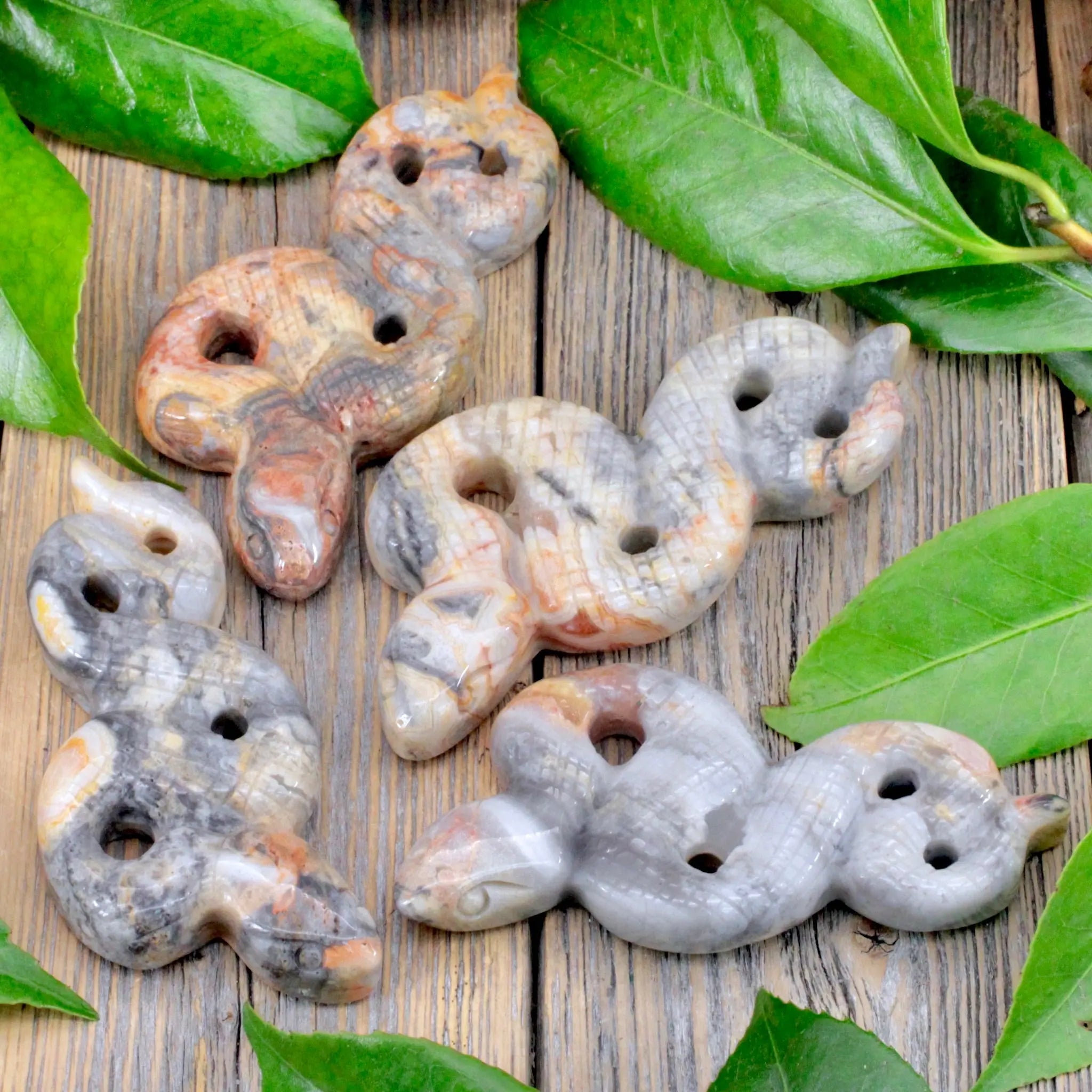 Crazy Lace Agate Snake – RockMama.com