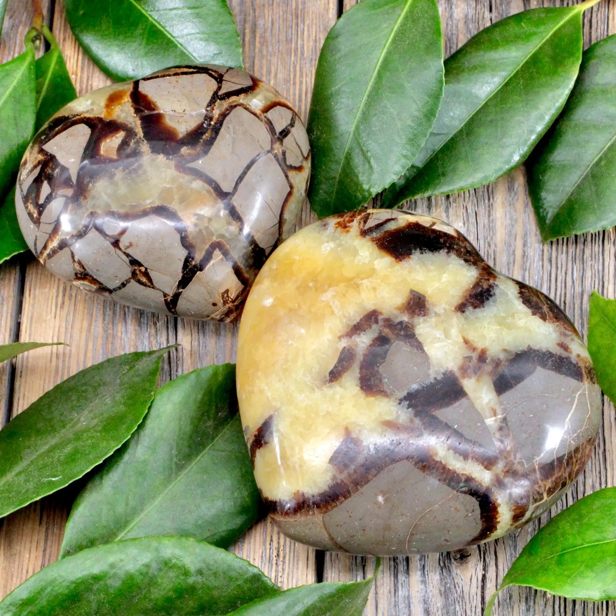 Septarian Heart – RockMama.com