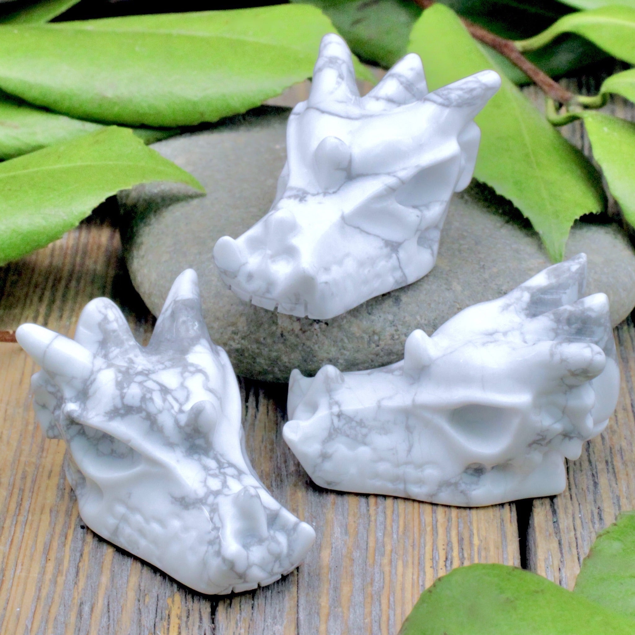 Howlite Dragon Skull – RockMama.com