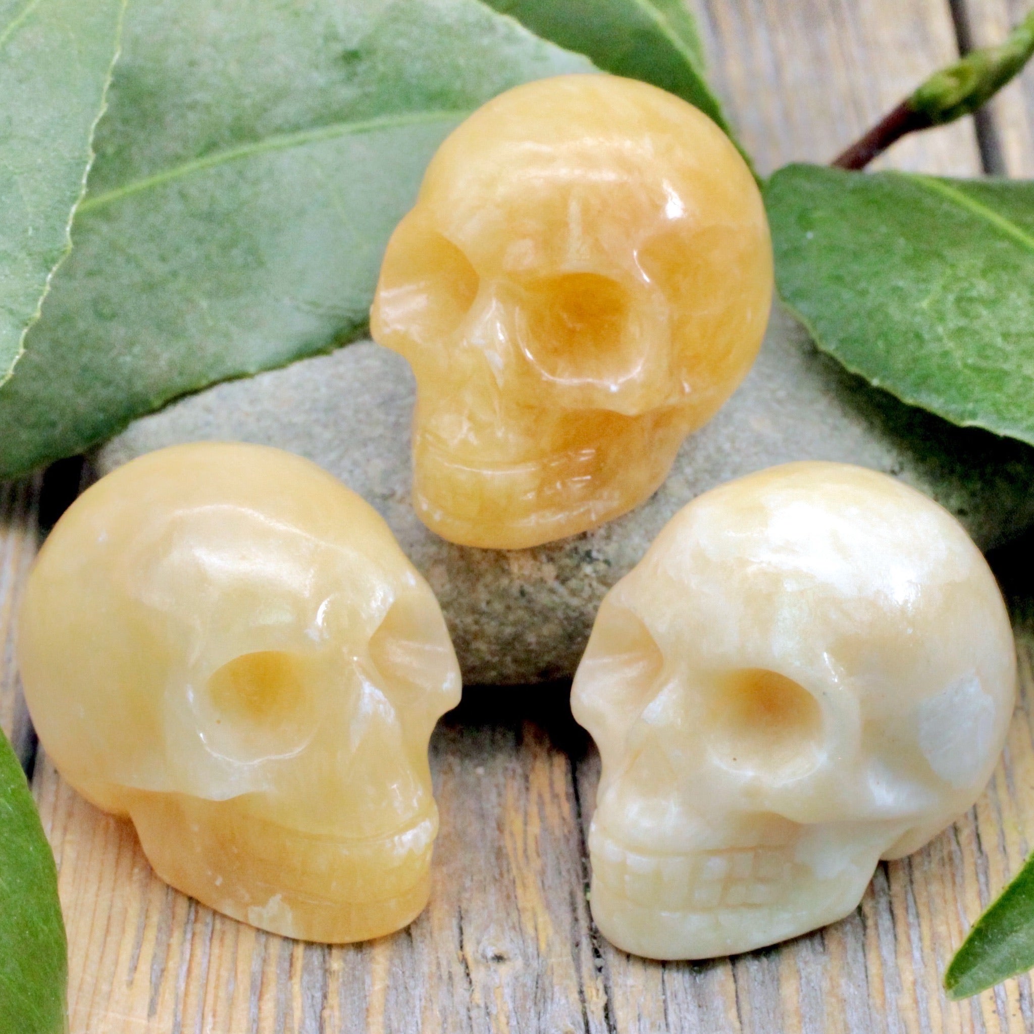 Skull Carving -Small – RockMama.com