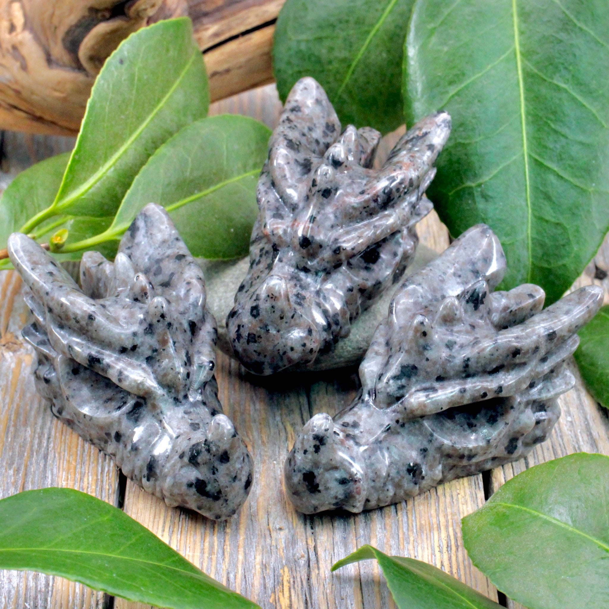 Firestone Dragon Head – RockMama.com