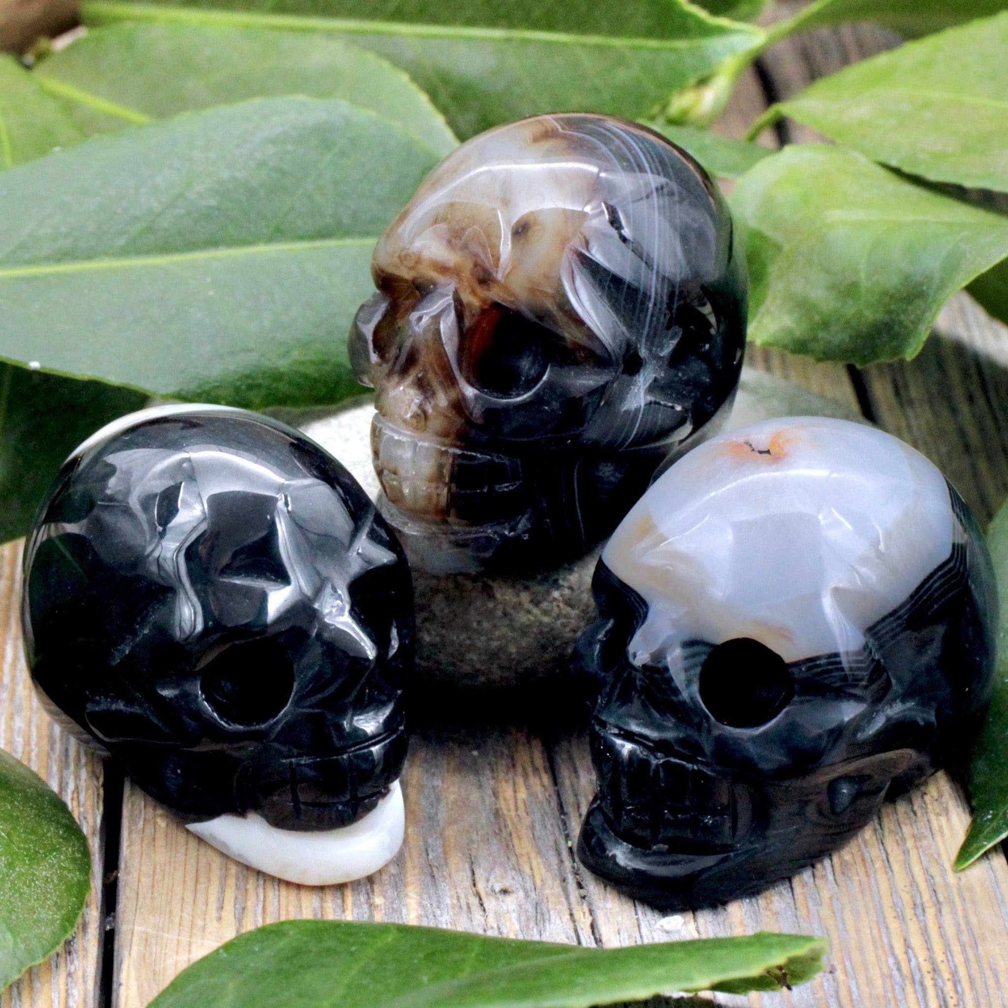 Skull Carving -Medium – RockMama.com