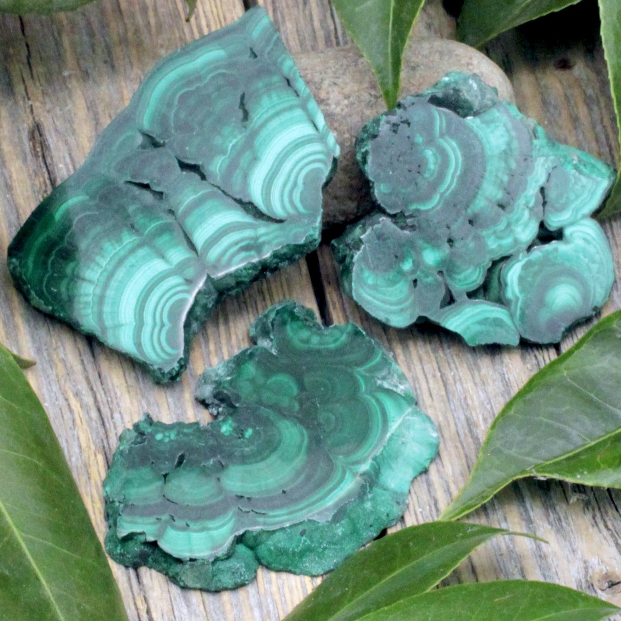 Malachite Slab – RockMama.com