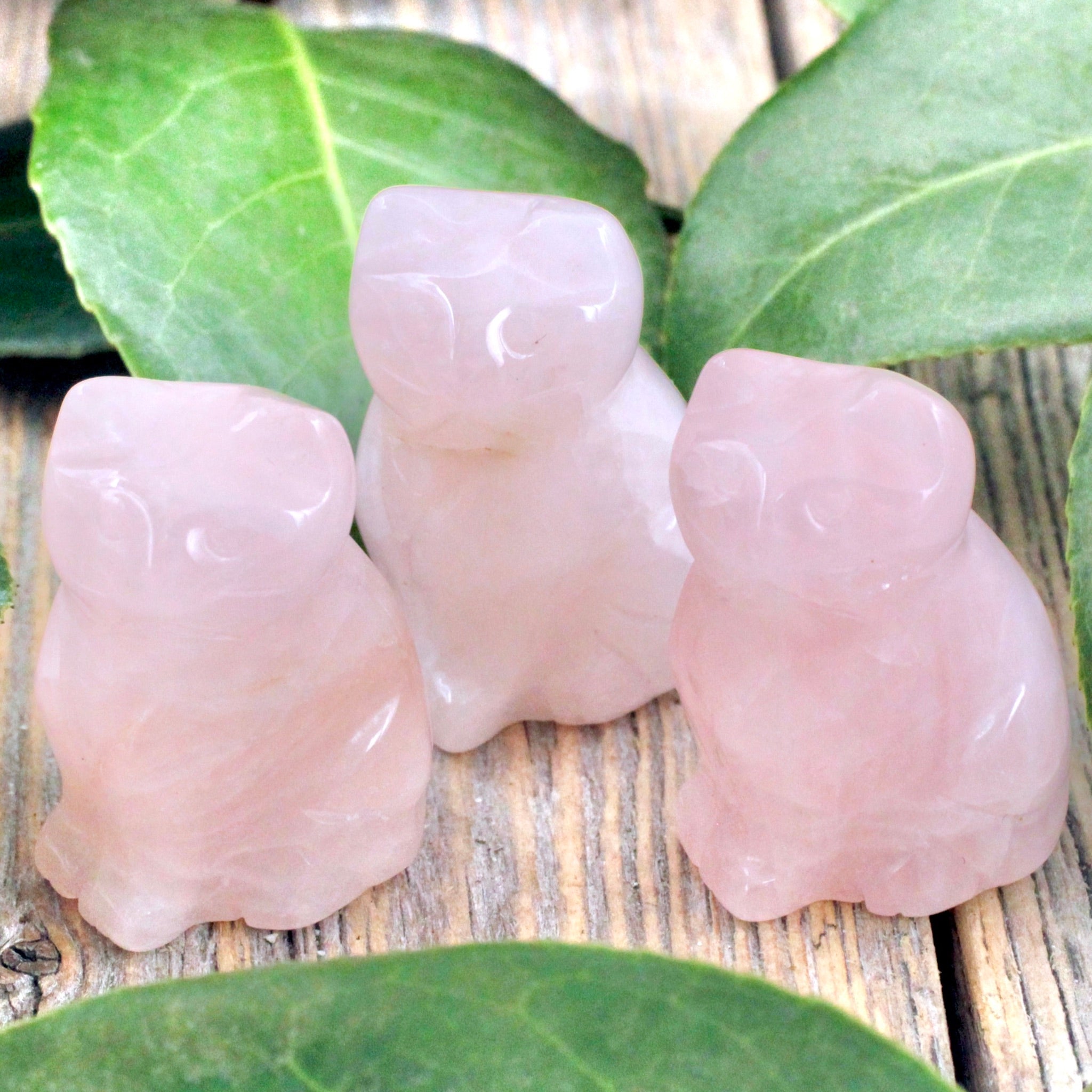 Rose Quartz Cat – RockMama.com