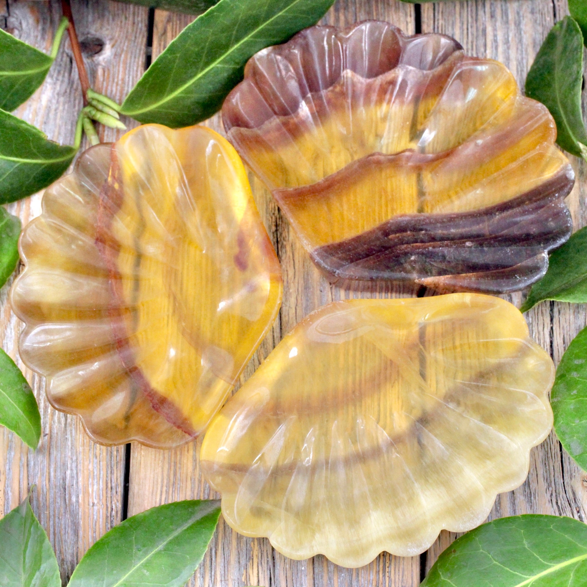 Yellow Fluorite Scallop Dish – RockMama.com