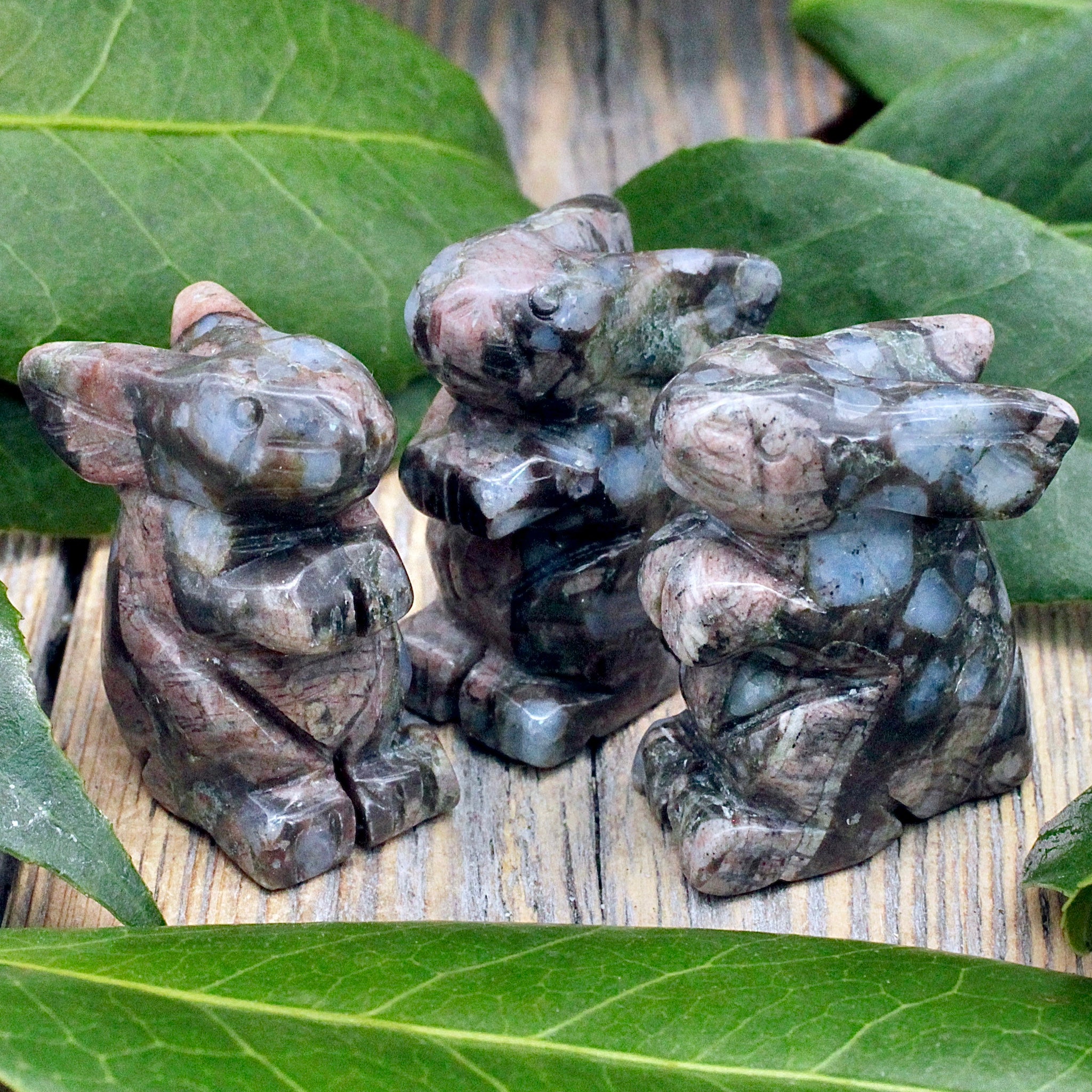 Llanite Bunny – RockMama.com