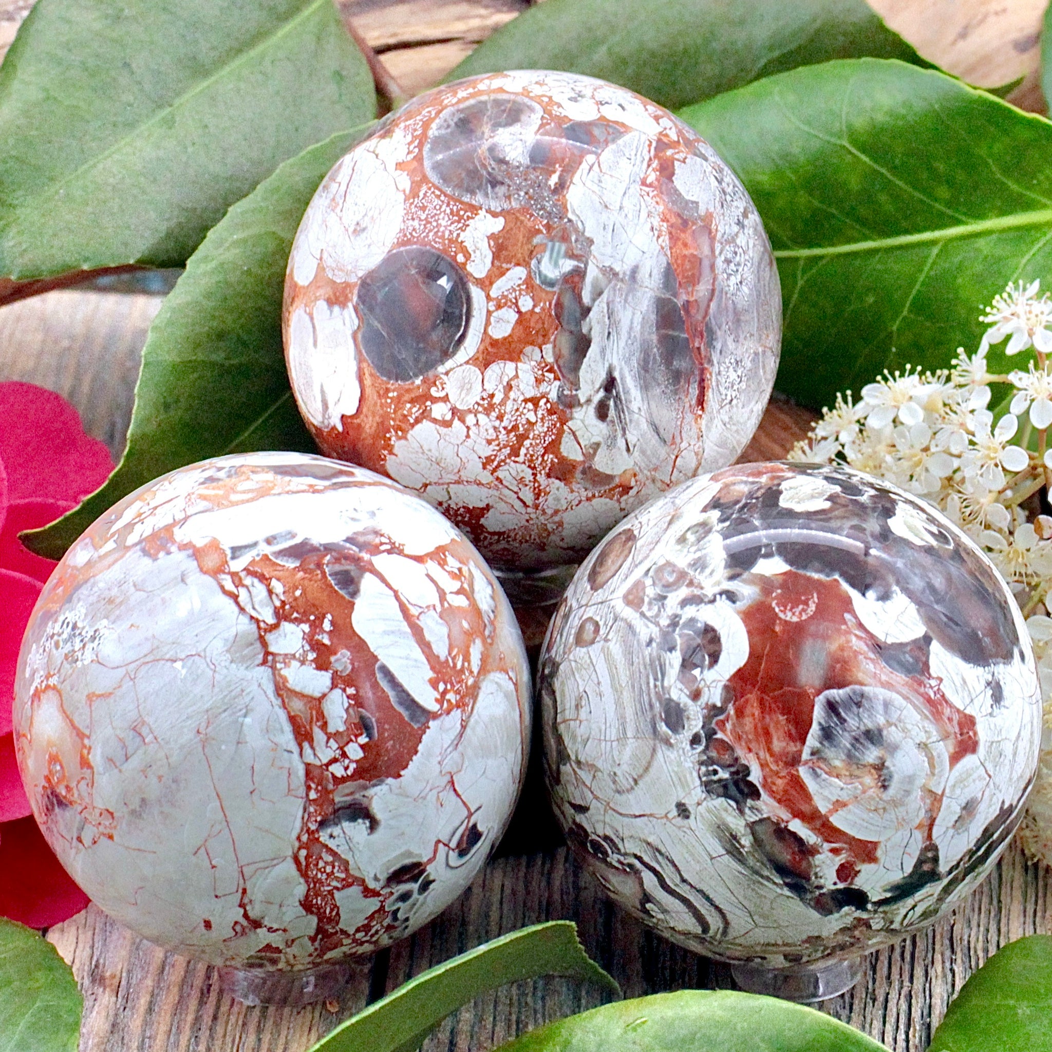 Money Agate Sphere – RockMama.com