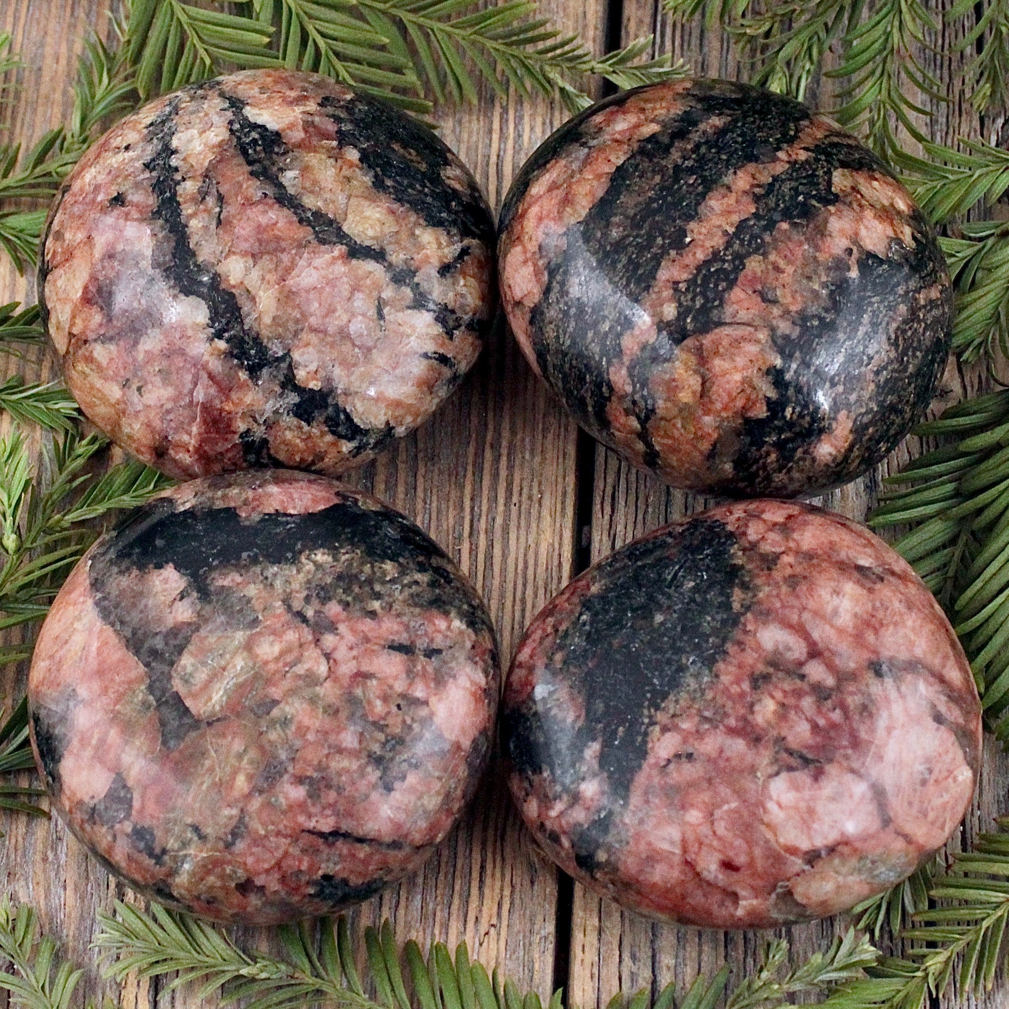 Cork Marble Palm Stone – RockMama.com