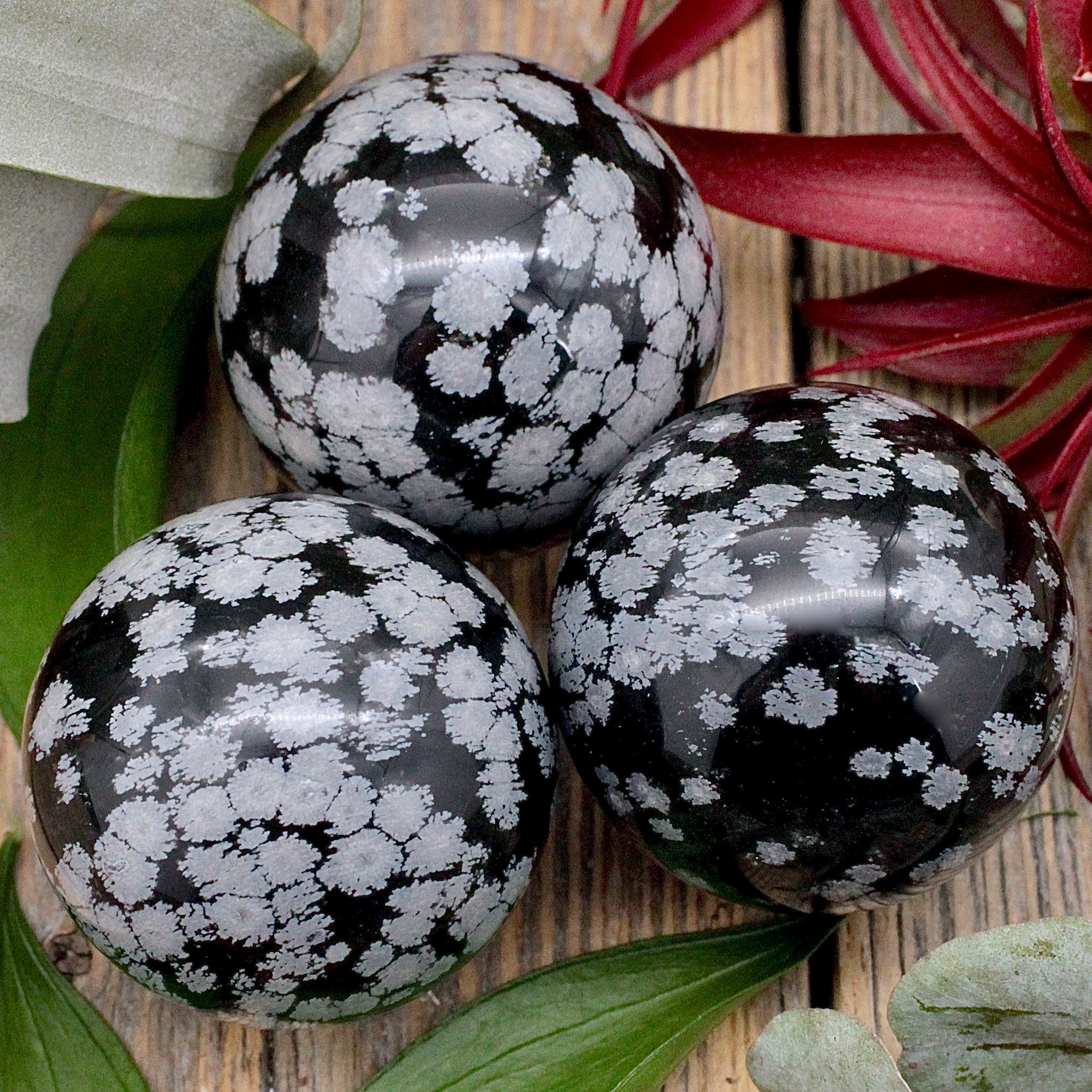Snowflake Obsidian Sphere - Small – RockMama.com