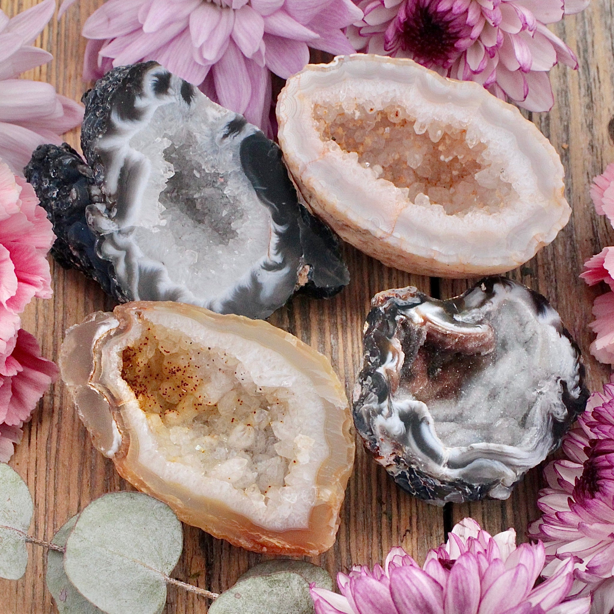 Agate Geode – RockMama.com
