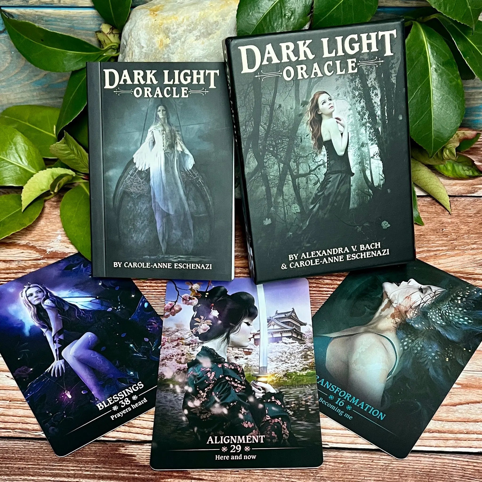 Dark Light Oracle – RockMama.com