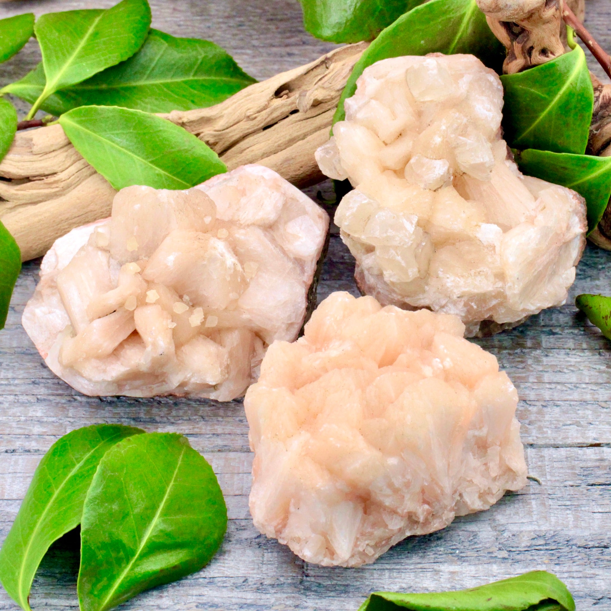 Stilbite Specimen – RockMama.com