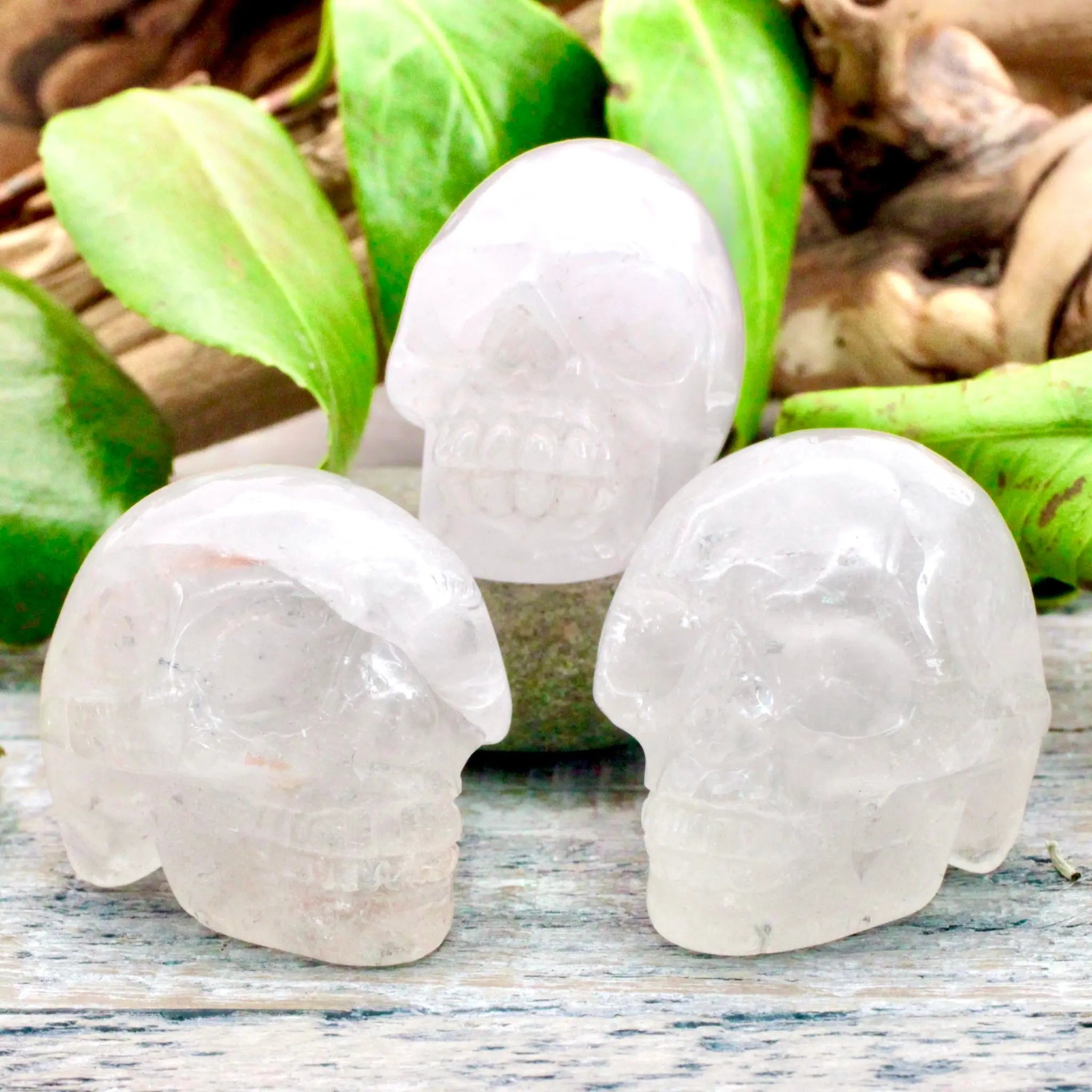 Quartz Skull Carving – RockMama.com
