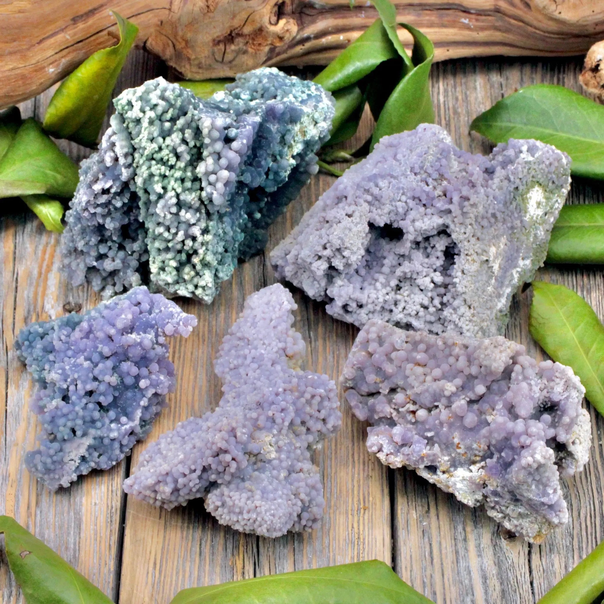 Grape Agate Specimen – RockMama.com